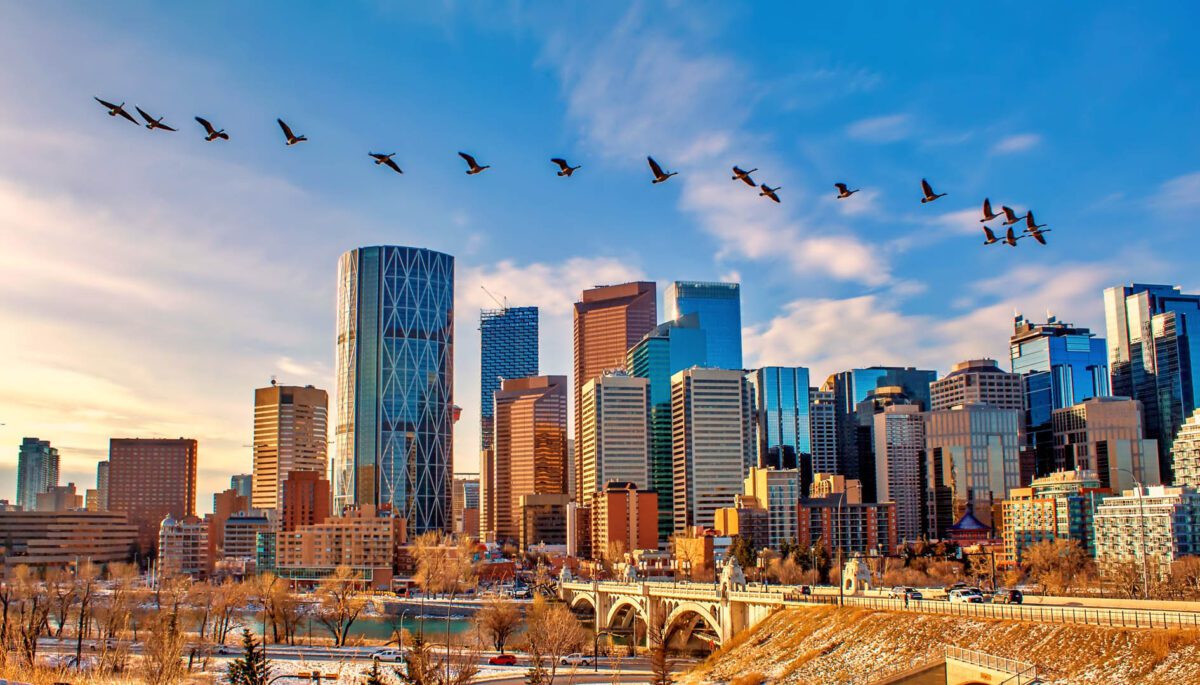 Respite Care in Calgary - Entrust Disability Services