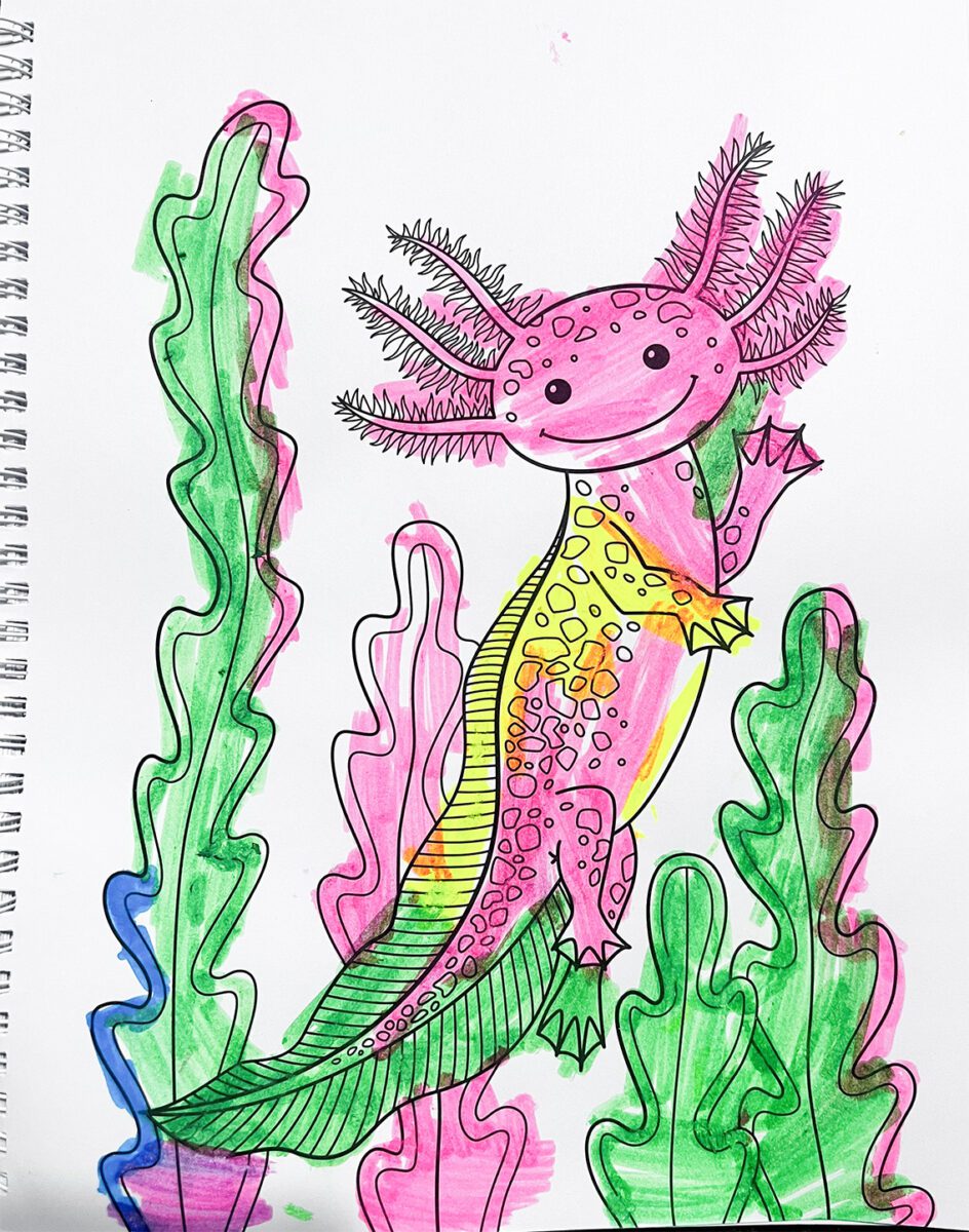 The Joyful Axolotl – Entrust Disability Services